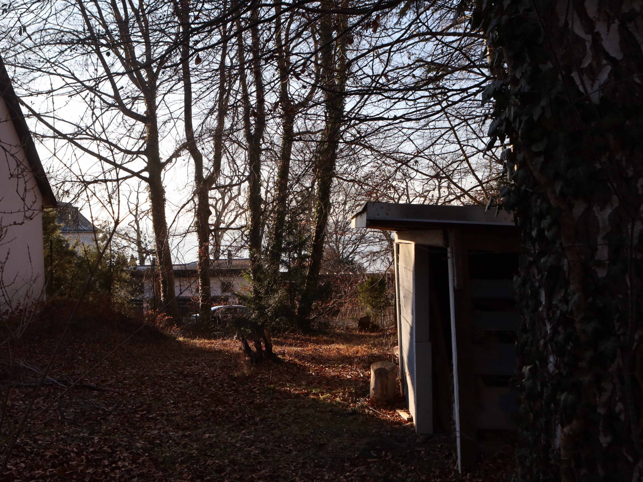 Und die Bäume landen im Kamin - Herrsching Online